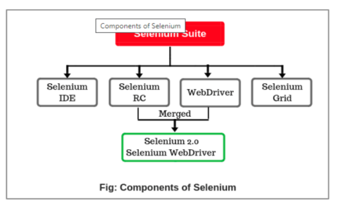 Selenium Webdriver - iitworkforce