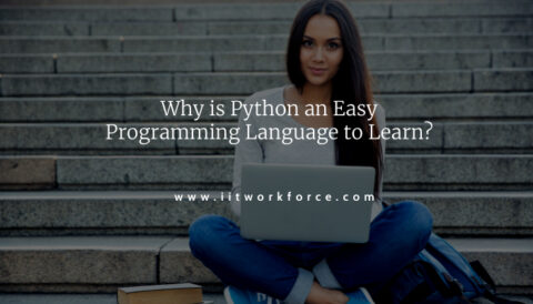 Why is Python an Easy Programming Language to Learn?